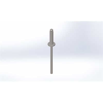 RIVET 1 / 8 X 1 / 2